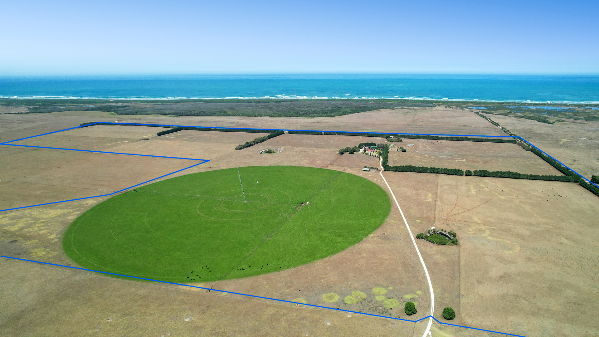 Livestock – O'Connor and Graney