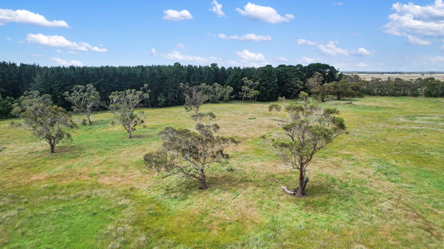 Auction – Lot 459 Riddoch Highway, Dismal Swamp – O'Connor and Graney